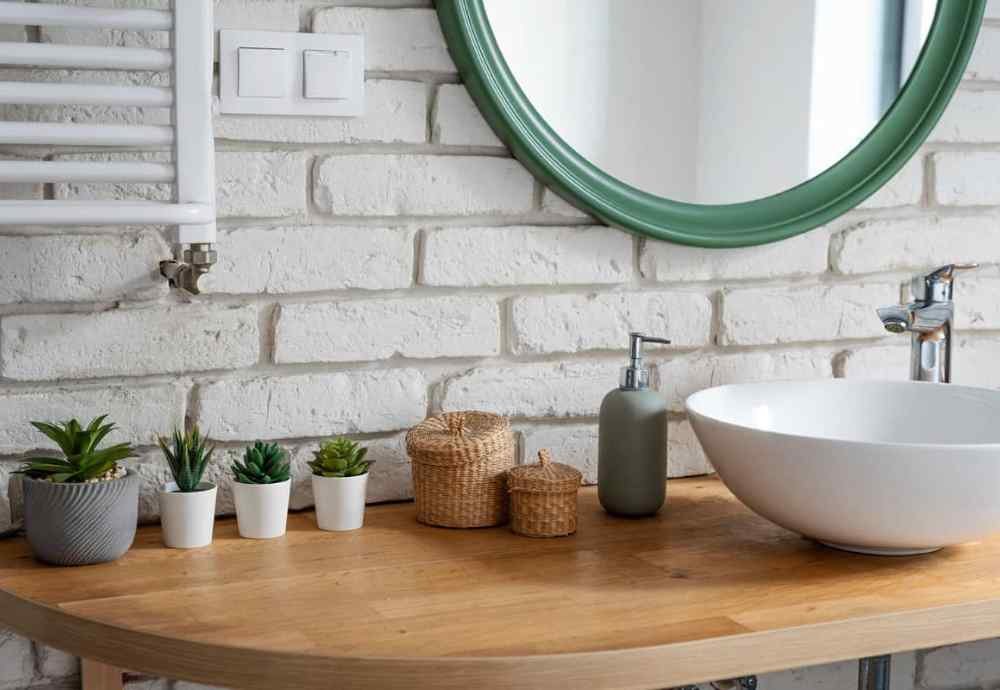 The Top 11 Succulents for Bathroom: Bringing Nature Indoors