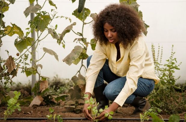 What Can I Plant in August? Maximize Your Garden
